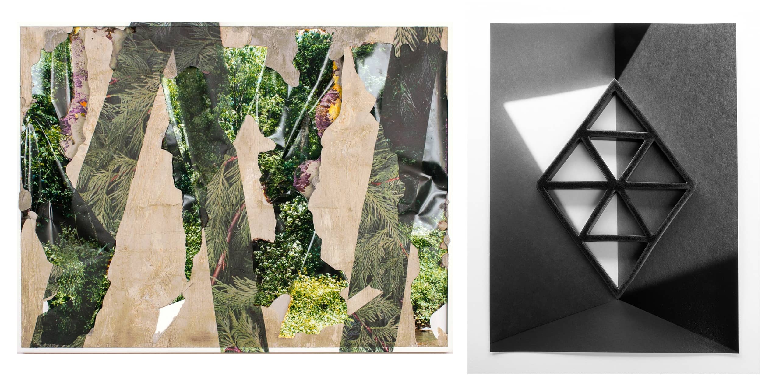 Surface Tension: Virtual Artist Talk with Paula McCartney and Letha ...