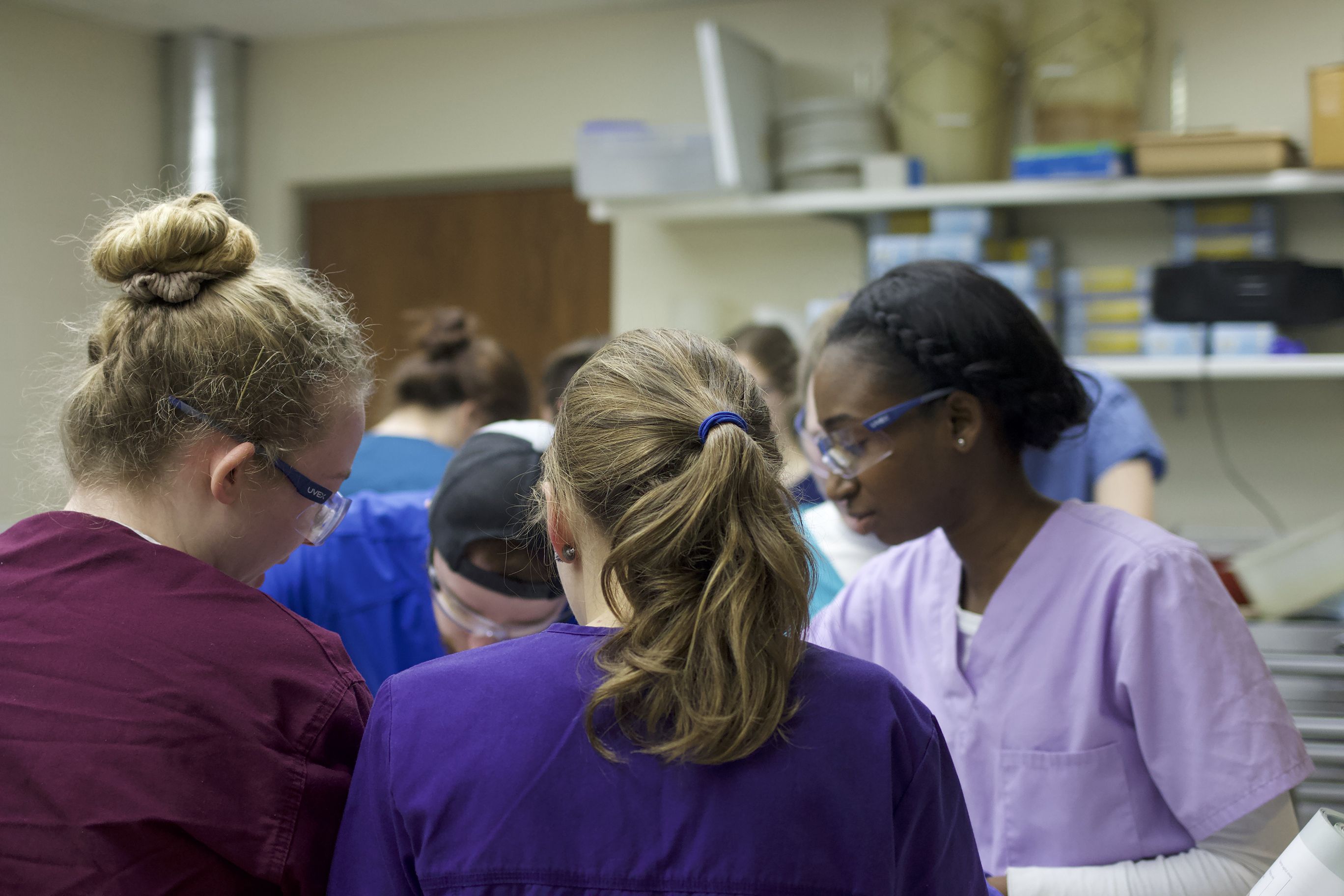 The Other Teachers in the Classroom: Human Cadavers | Bethel University