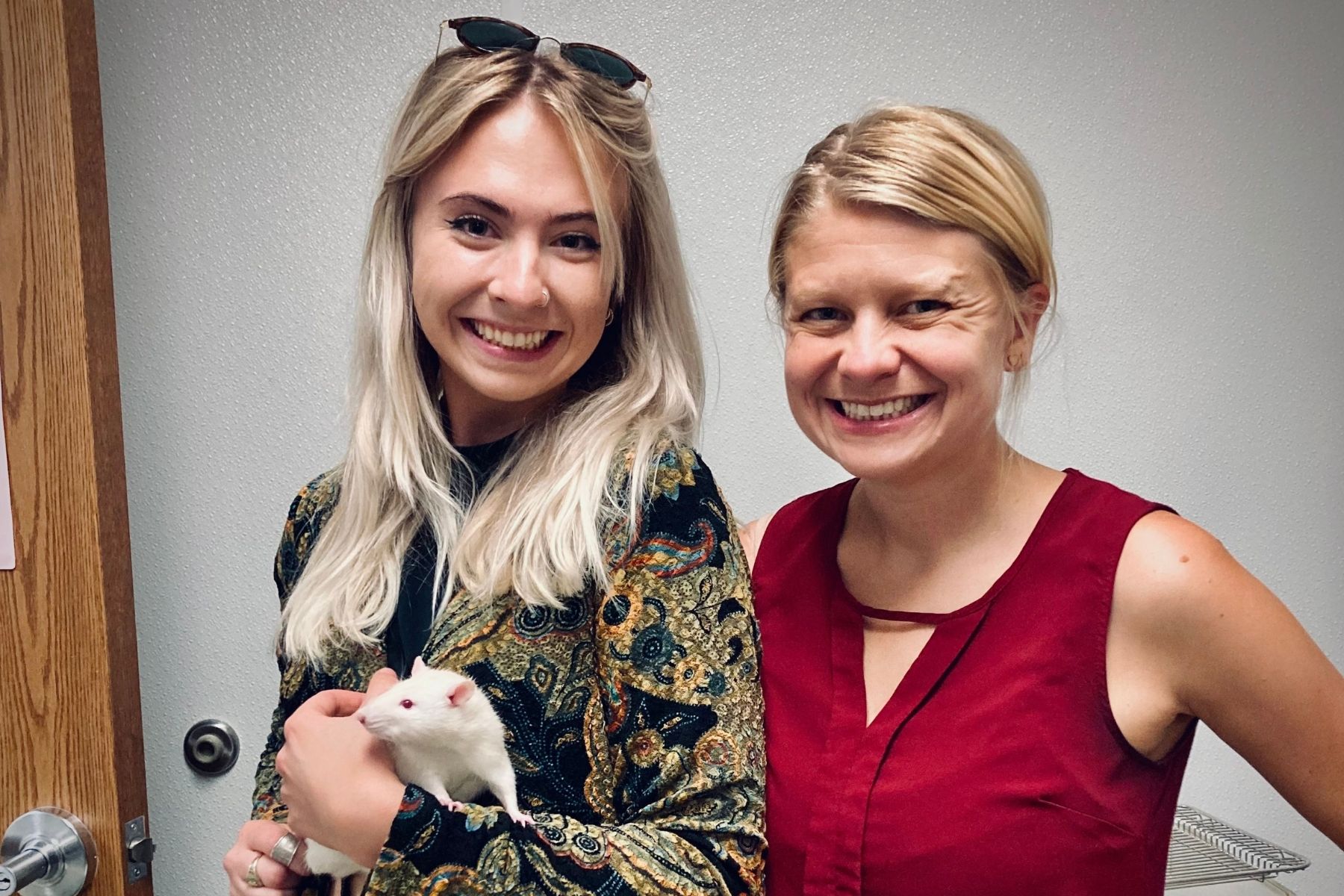 The Hidden Gems of Undergraduate Research | Bethel University