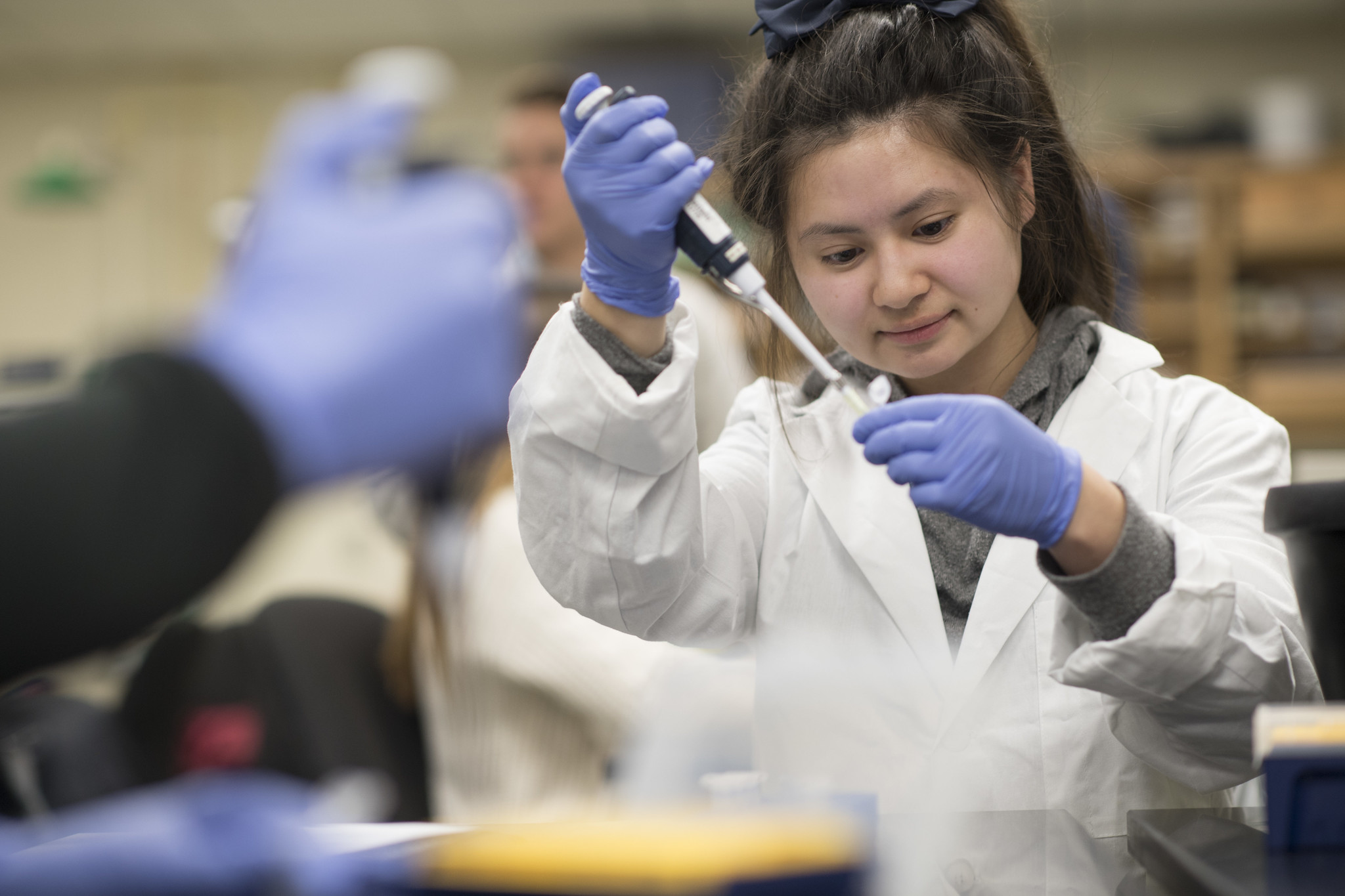 Bethel Launches New Master of Science in Medical Sciences Program ...