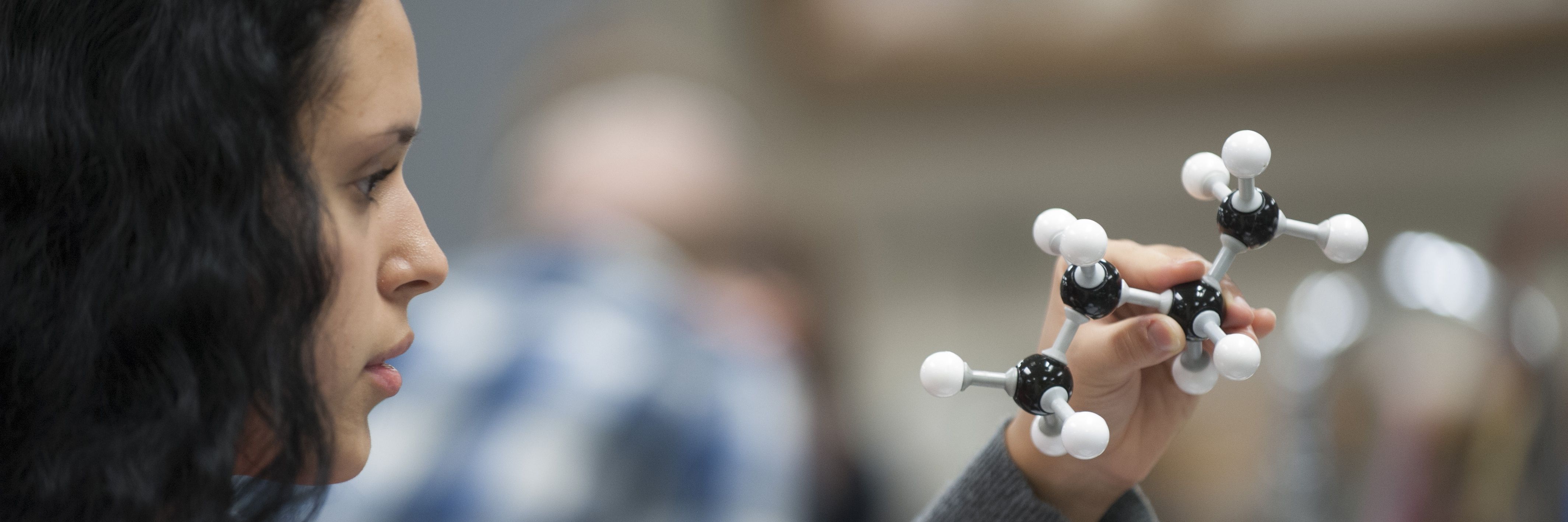 Middle Level (grades 5–8) Endorsement | Bethel University